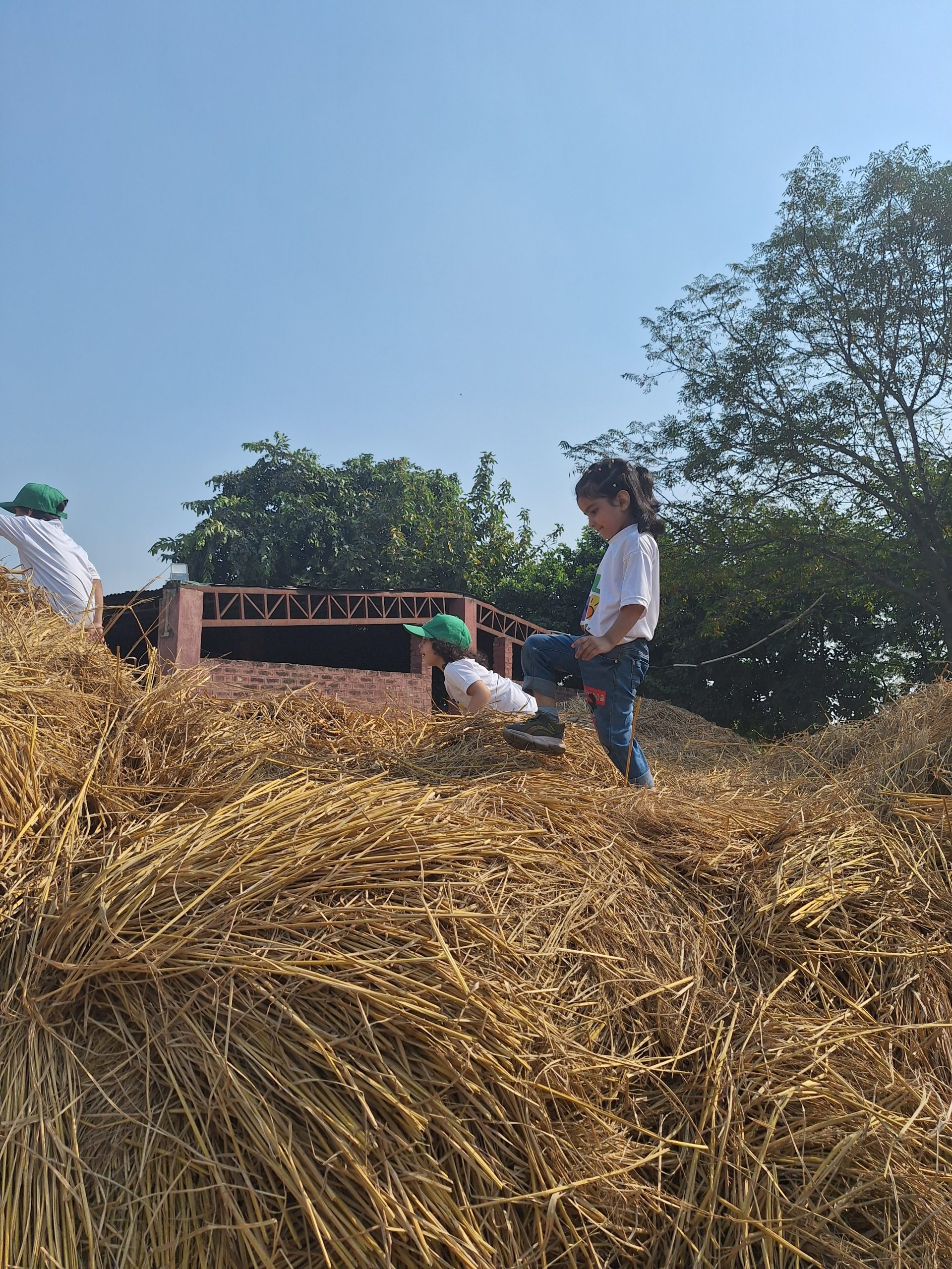 Gallery – Kids Cottage Lahore